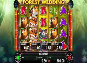 Forest Wedding Slot Review, Bonuses & Free Play (95.8% RTP)