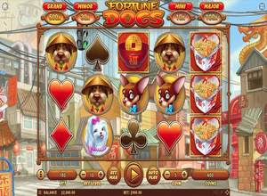 Fortune Dogs Slot Review, Bonuses & Free Play (96.68% RTP)