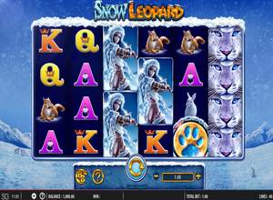 Snow Leopard Slot Review, Bonuses & Free Play (94% RTP)