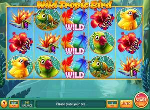 Jungle Slots | Play Free Jungle Theme Slot Machines