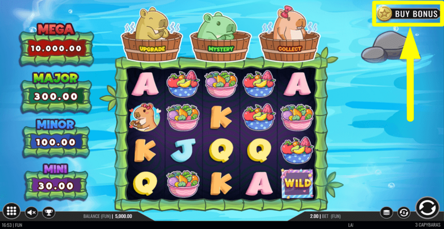 3 Capybaras Slot Review, Bonuses & Free Play (95.55% RTP)