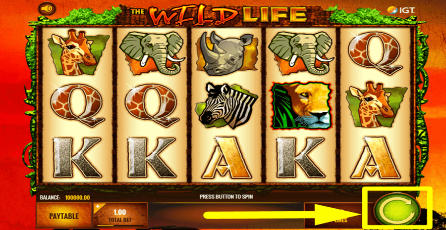 The Wild Life Slot Review, Bonuses & Free Play (94.16% RTP)